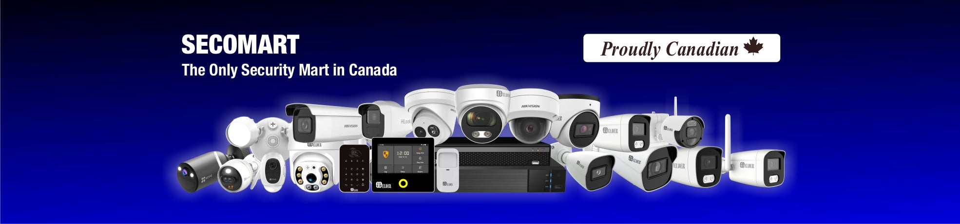 Security Cameras in Toronto